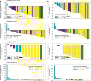 臓器横断的固形がんのBRAF阻害剤承認 - レ点腫瘍学ノート